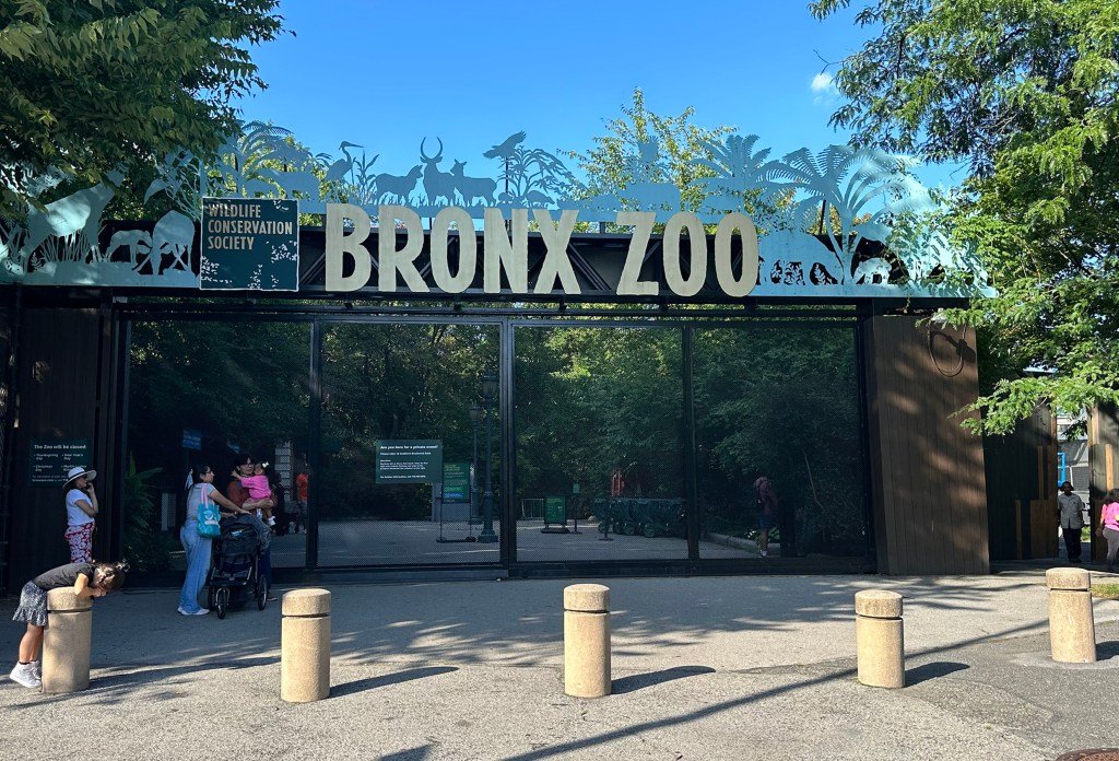 Bird flu hits NYC zoos: 3 Queens Zoo birds dead from virus, 12 at Bronx ...