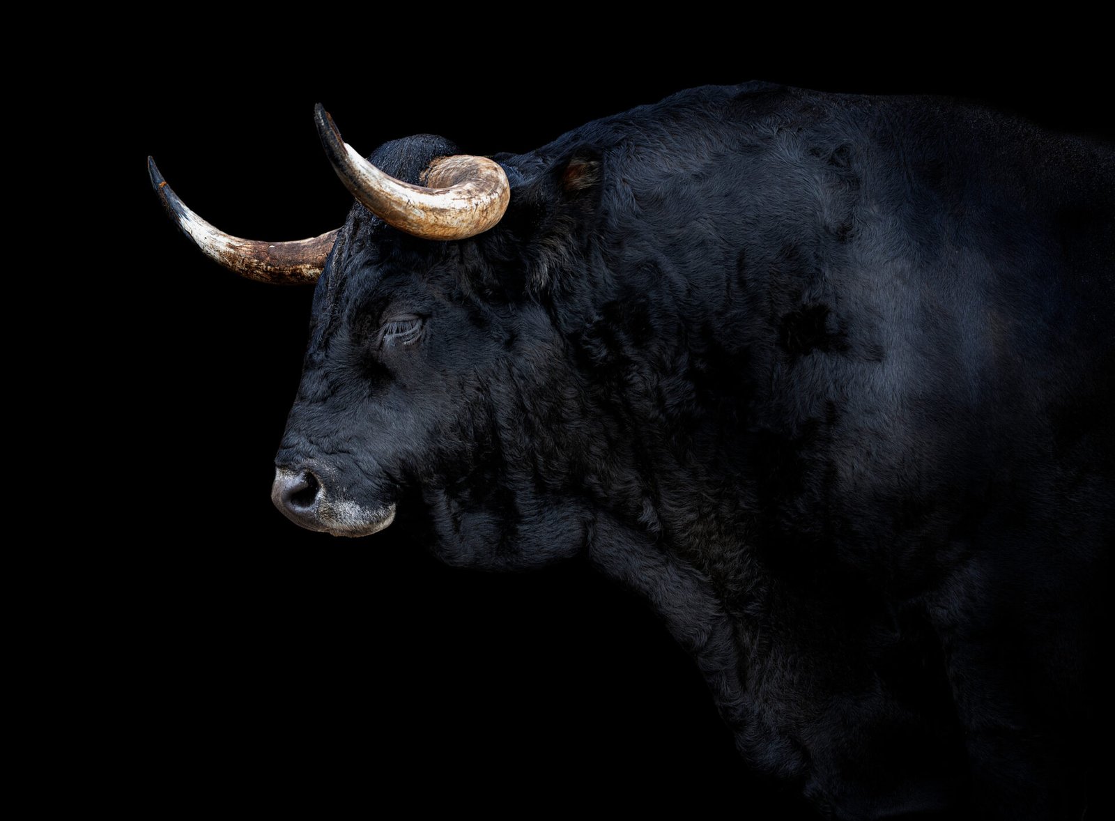 Welcome to Taurus season — and beware these most toxic traits of bad ...