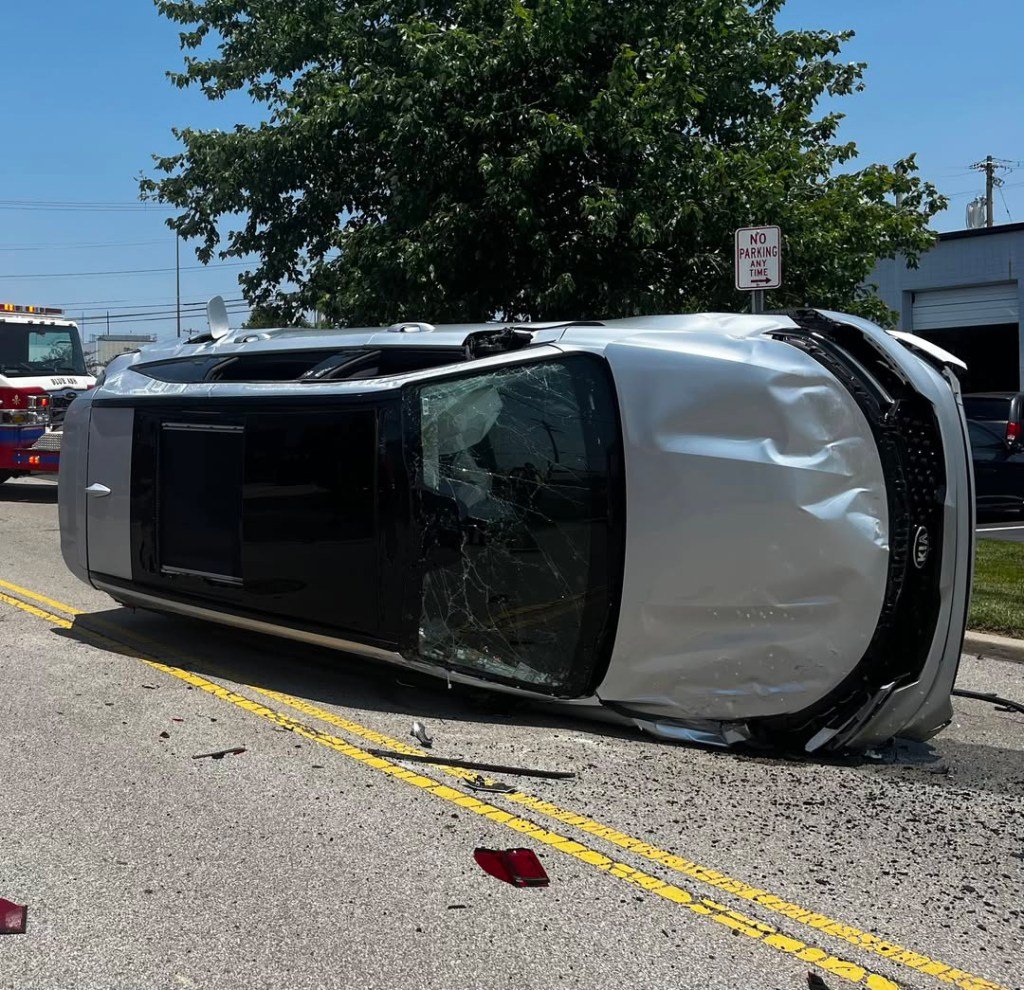 Buzzing cicada causes panicked Ohio driver to lose control and flip car ...