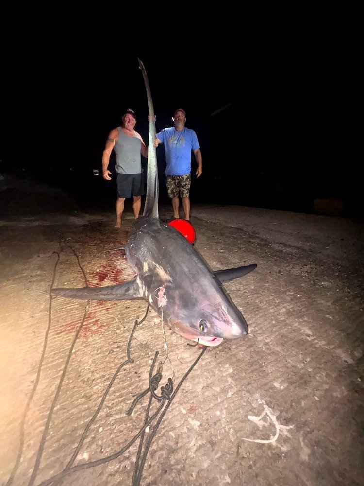 700-pound shark caught off Connecticut coast may break state record ...