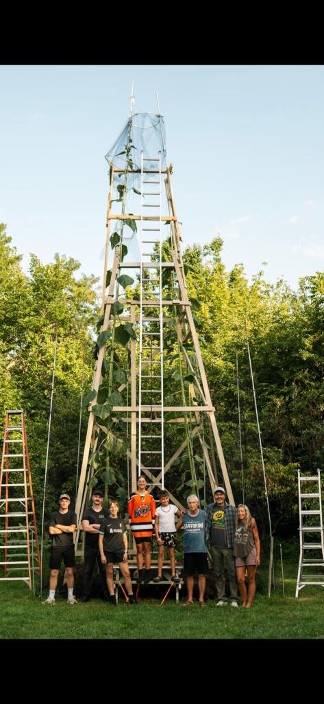 Ukrainian immigrant grows world’s tallest sunflower stretching over 35 ...