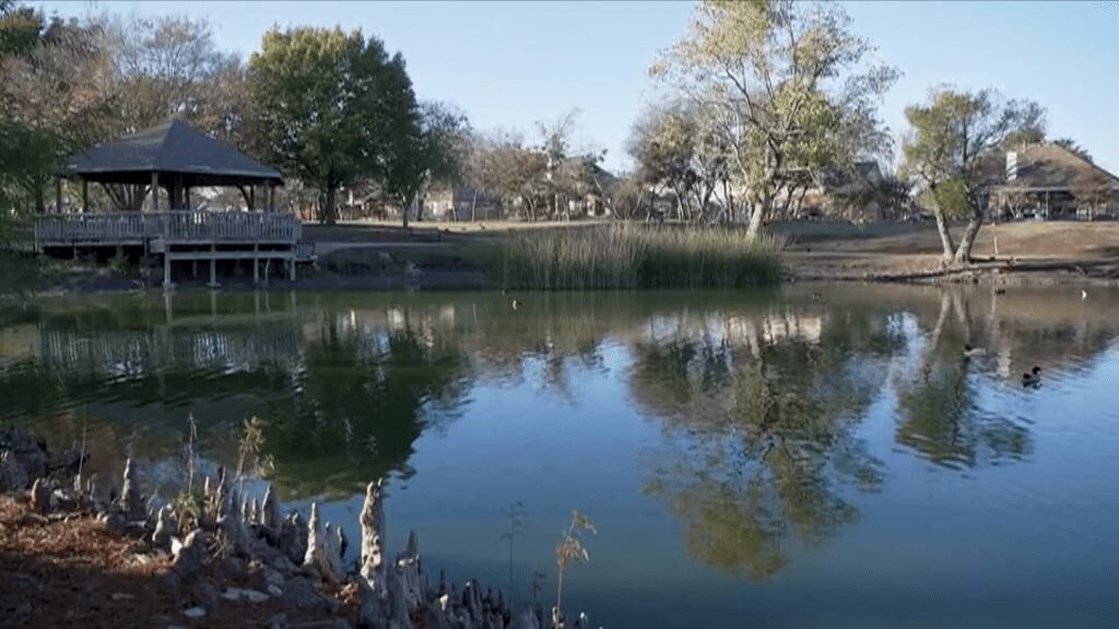 72-year-old Texas woman hospitalized with broken pelvis, internal ...