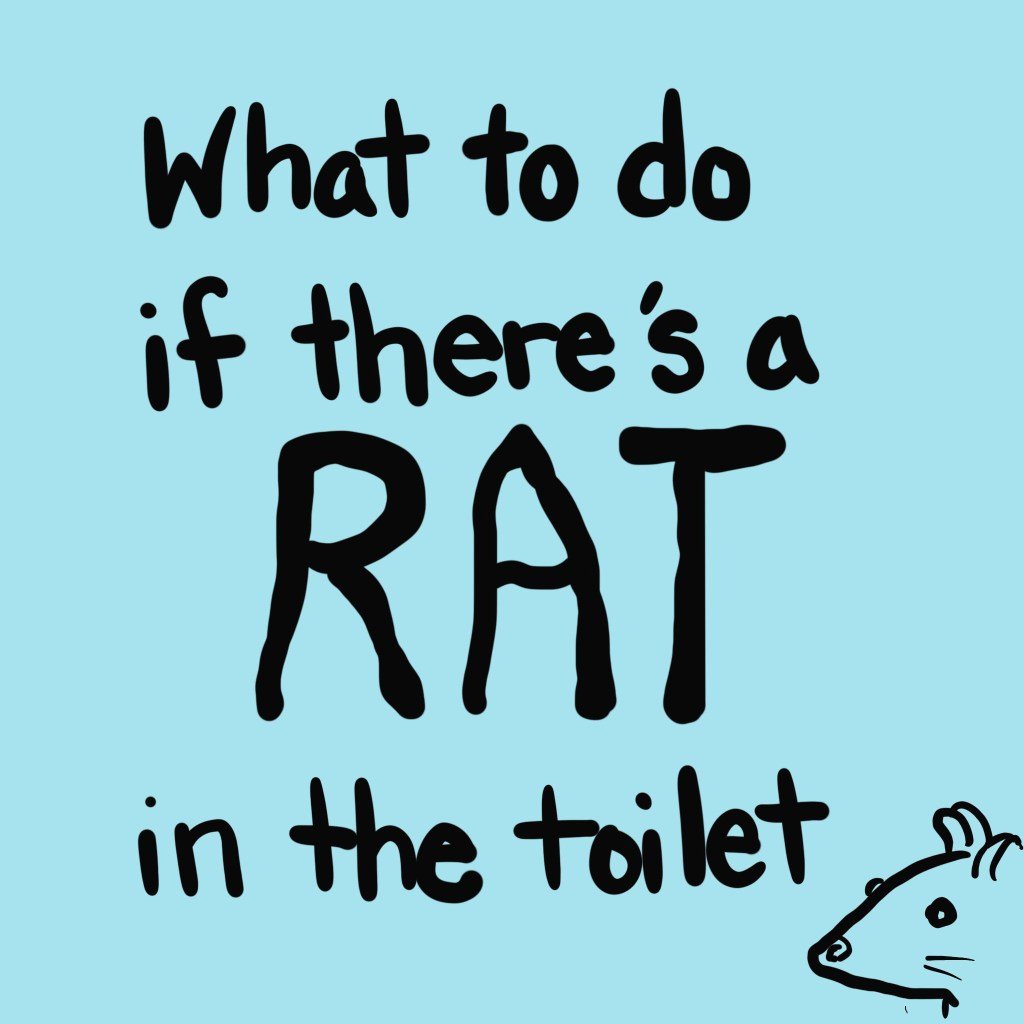 Cartoon PSA advises to flush rats if climbing up and invading toilets ...