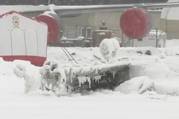 Jason Momoa, Dave Bautista star in ‘The Wrecking Crew’ — How to watch ...