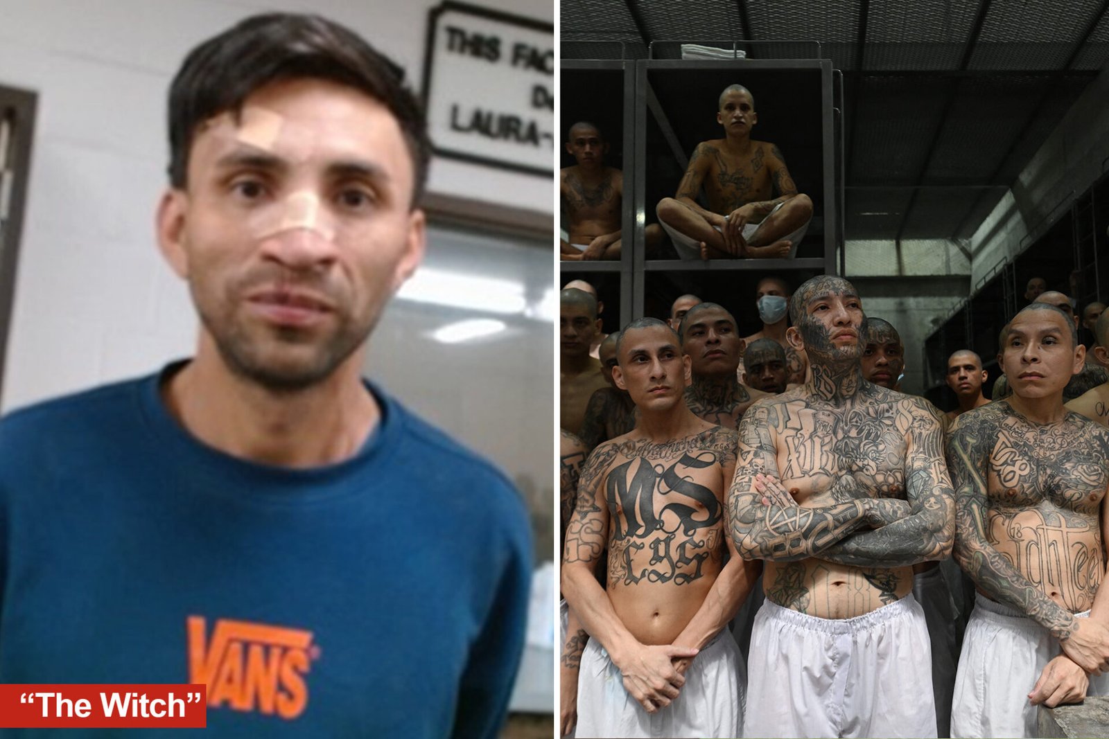 Machete-wielding MS-13 executioner known as ‘the witch’ captured by ICE ...